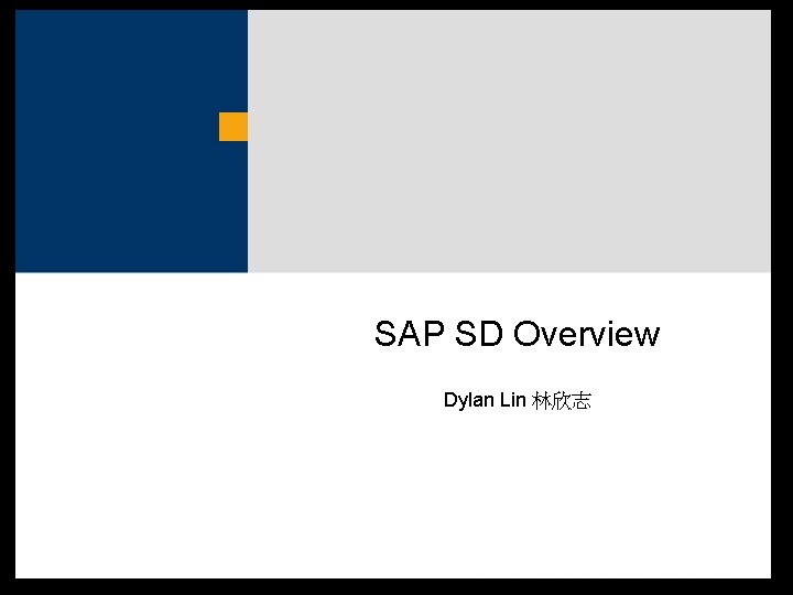 SAP SD Overview Dylan Lin SD Function Introduction