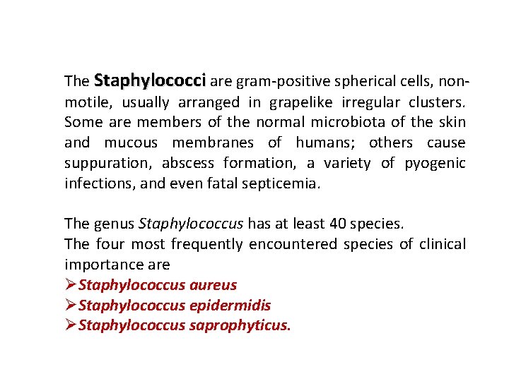 Medical bacteriology Gram Positive Coccus Staphylococci Dr Hala