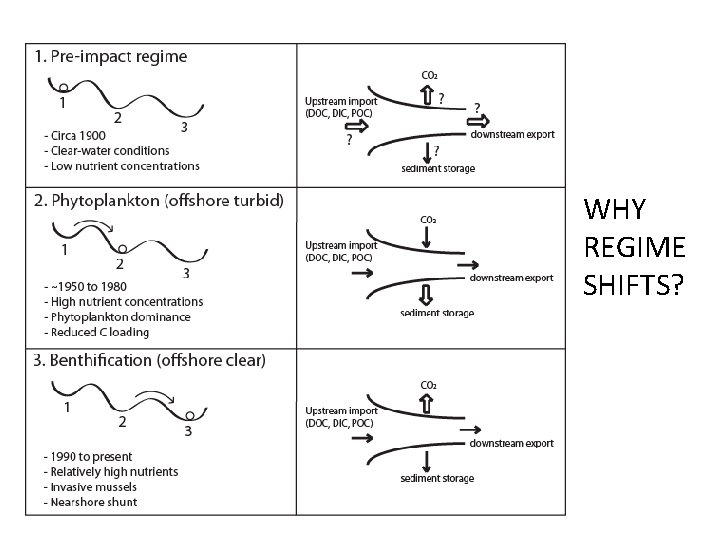 Linking Regime Shifts to Carbon Dynamics in Lake
