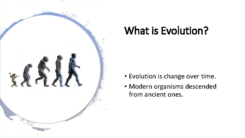 Unit 1 Evolution Section 4 Evolution Access Biology