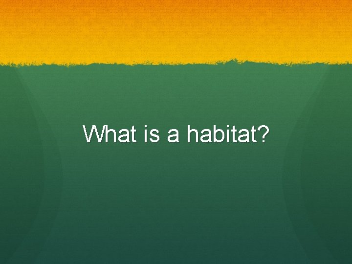Habitats What is a Habitat A habitat is