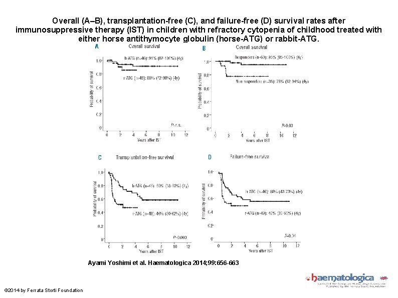 Comparison of horse and rabbit antithymocyte globulin in