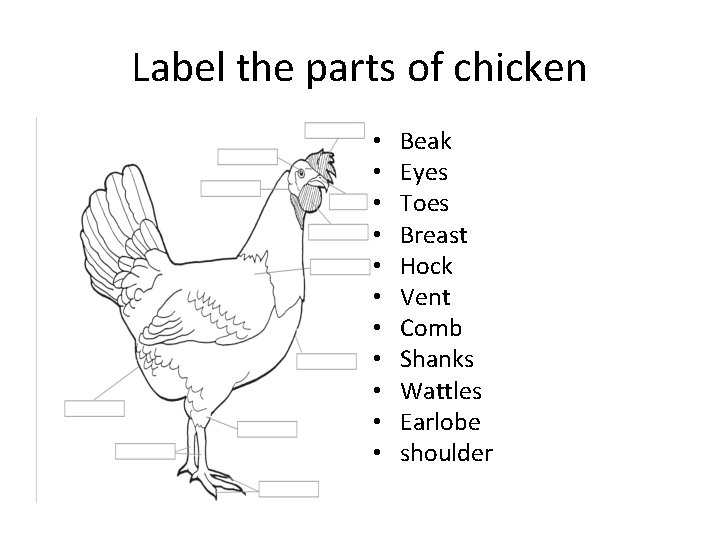 Welcome Back to Agriculture Science class January 13