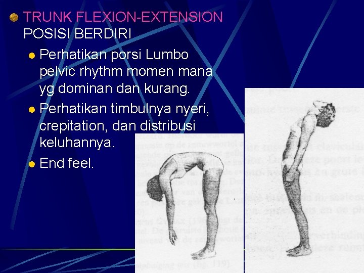 MANUALTERAPI PELVICHIP COMPLEX ASSESSMENT Pertemuan ke 5 Oleh
