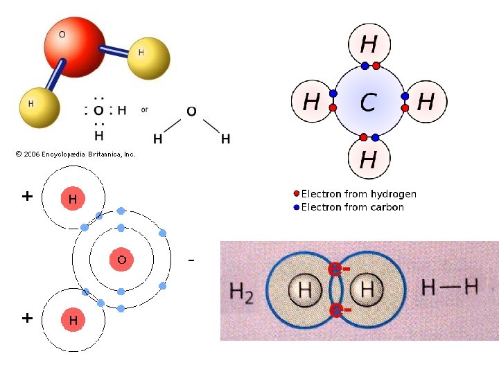 Covalent Bonds Sharing Electrons Atoms unit of a