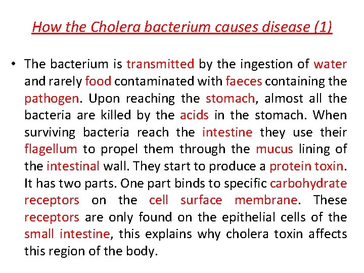 Cholera Learning Objectives What are prokaryotic cells How