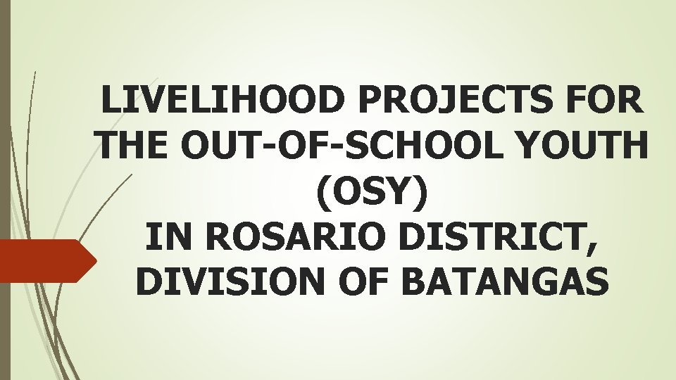 LIVELIHOOD PROJECTS FOR THE OUTOFSCHOOL YOUTH OSY IN
