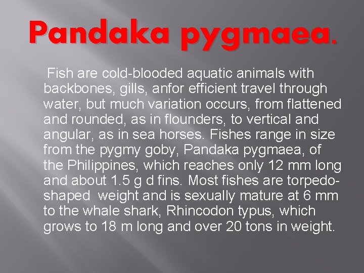 Fish Fish have got a long body that