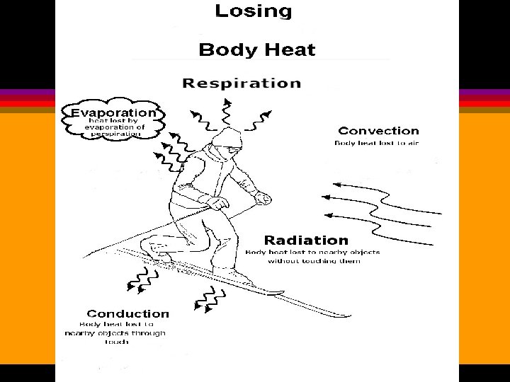 Environmental Emergencies The body gains and loses heat