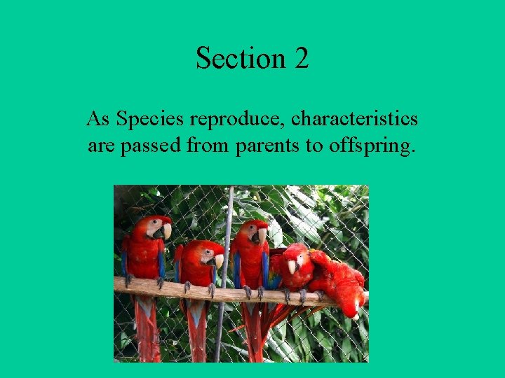Section 2 As Species reproduce characteristics are passed