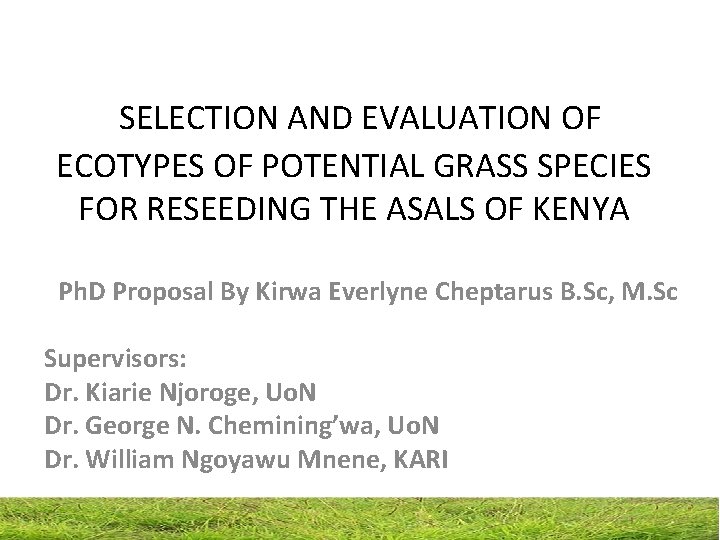 SELECTION AND EVALUATION OF ECOTYPES OF POTENTIAL GRASS