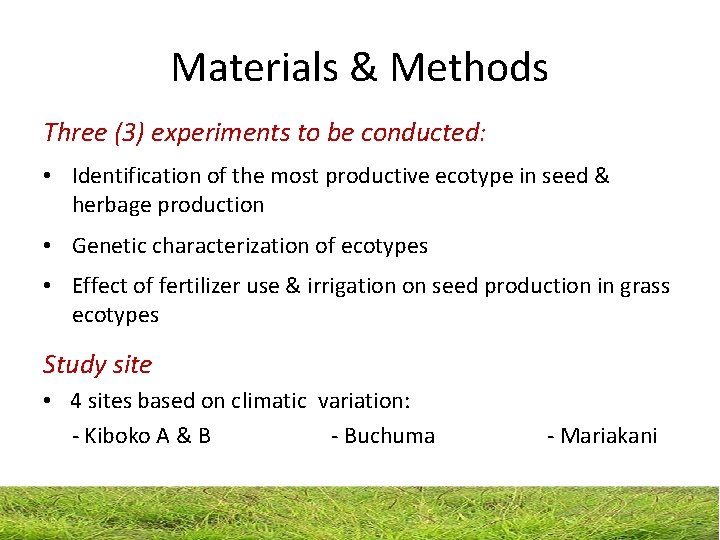 SELECTION AND EVALUATION OF ECOTYPES OF POTENTIAL GRASS