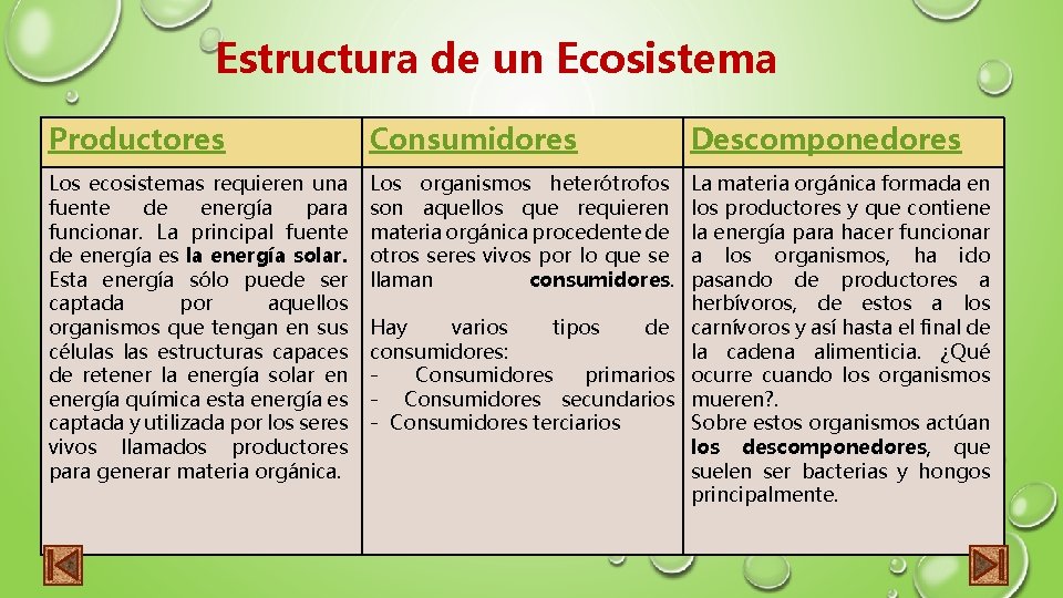 LOS ECOSISTEMAS COMPONENTES ESTRUCTURA E INTERRELACIONES Componentes de