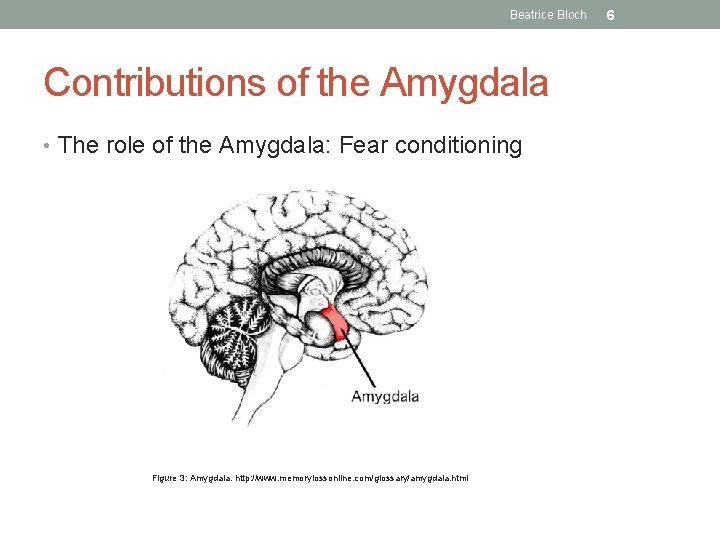 NEUROANATOMY OF EMOTIONS Introduction to Cognitive Neuroscience Beatrice