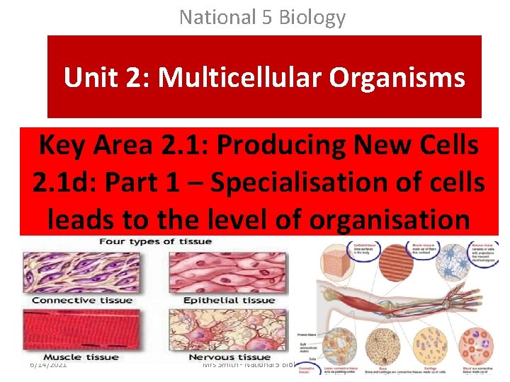 National 5 Biology Unit 2 Multicellular Organisms Key