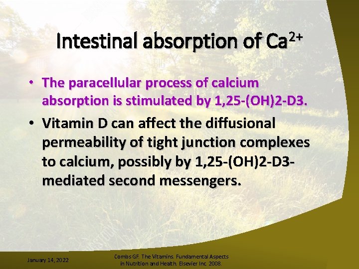 Metabolic functions of vitamin D Domina Petric MD
