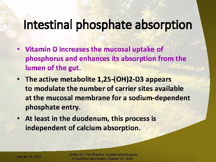 Metabolic functions of vitamin D Domina Petric MD
