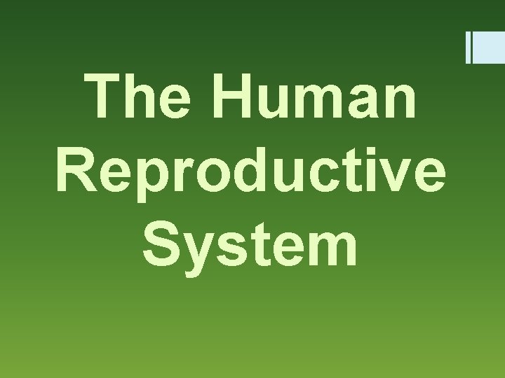 The Human Reproductive System Reproductive Overview New individuals