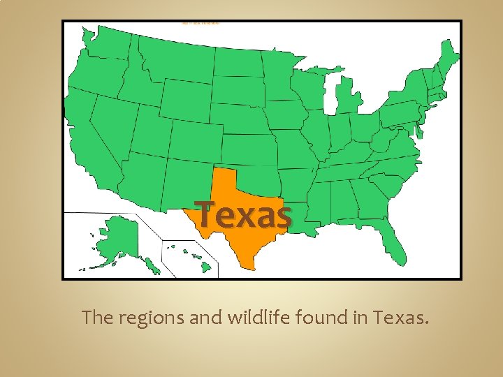 Texas The regions and wildlife found in Texas