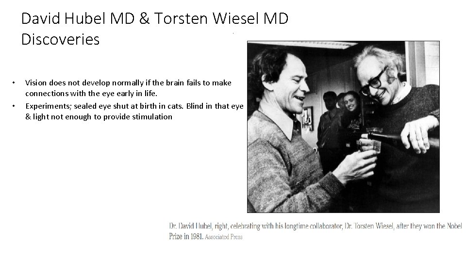 History of Neurology DAVID H HUBEL MD TORSTEN