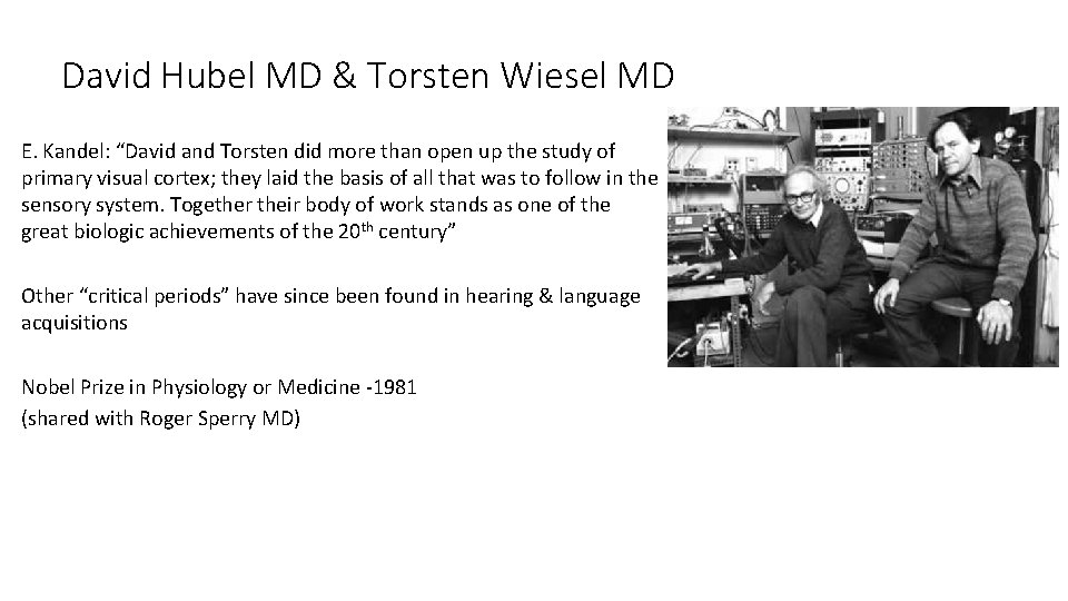 History of Neurology DAVID H HUBEL MD TORSTEN