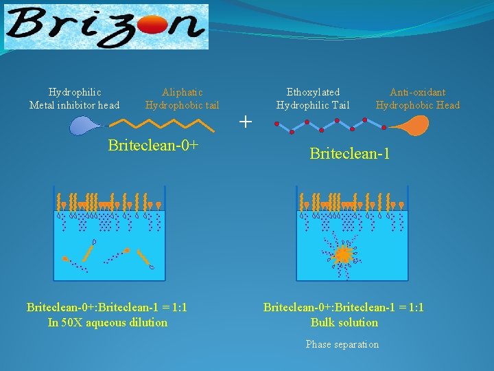 Brizon Inc www brizon net yuxinhubrizon net Products