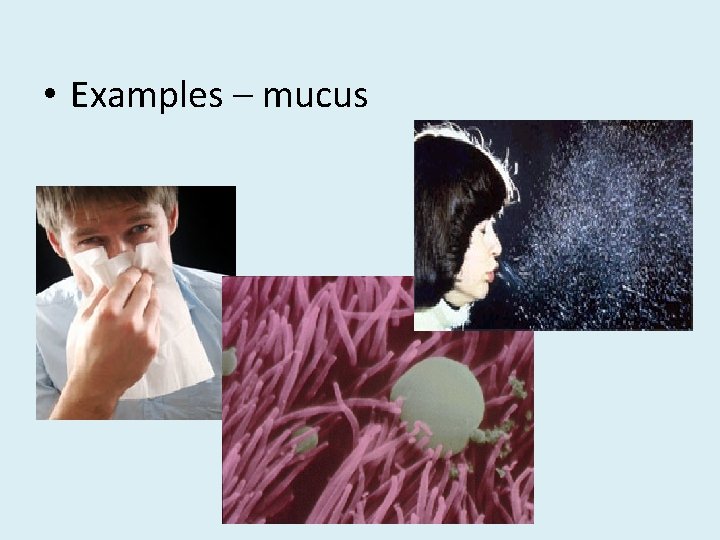 Diseases Disease Any malfunction of the body genetic