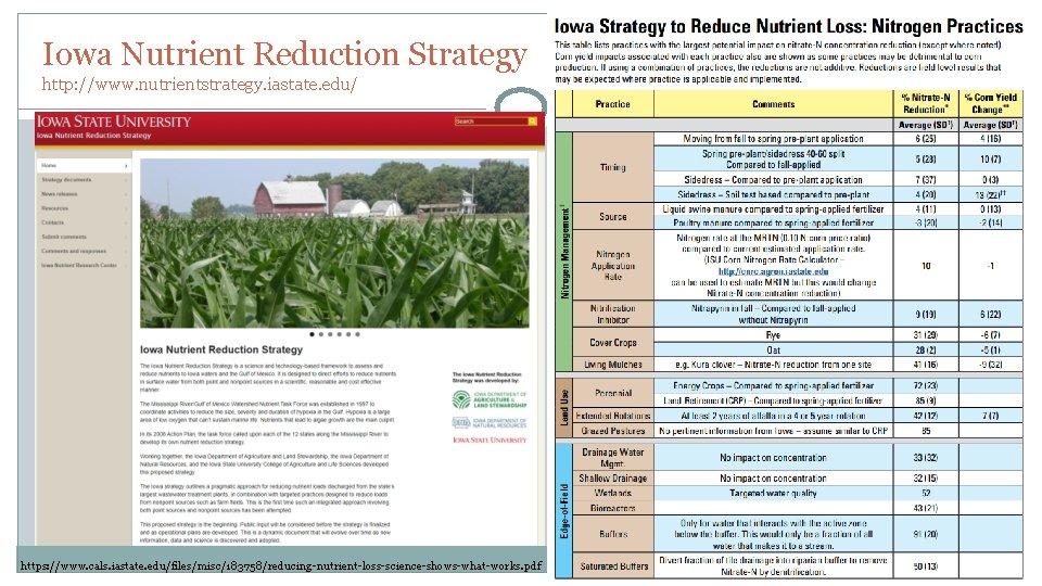 Nitrogen in Agriculture Lets Talk About It AAE
