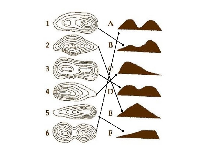 Chapter 2 Mapping our World Cartography Cartography is