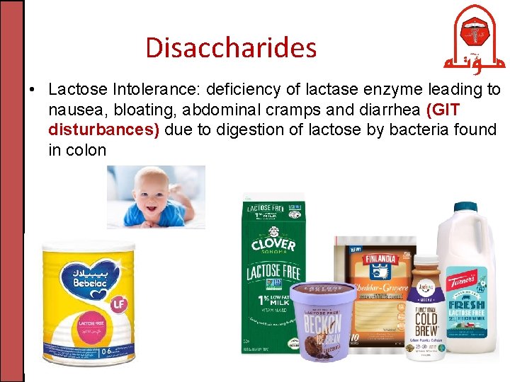 Carbohydrates Dr Nesrin Mwafi Biochemistry Molecular Biology Department