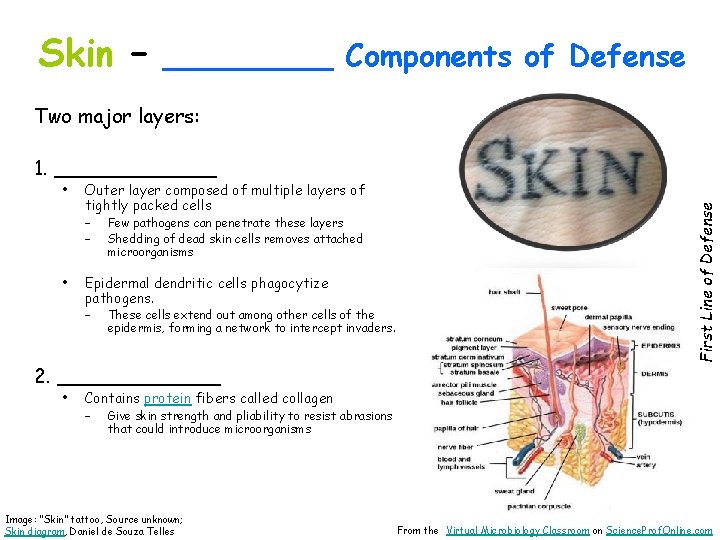About Science Prof Online Power Point Resources Science