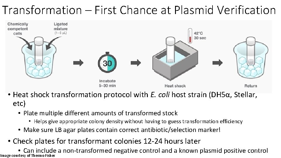 Cloning Overview 42919 Monday Night Meeting Ben Maldonato