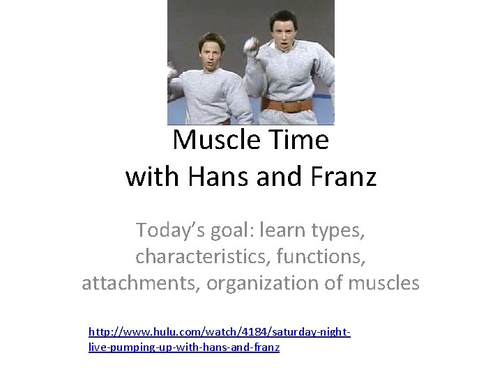 Muscle Time with Hans and Franz Todays goal