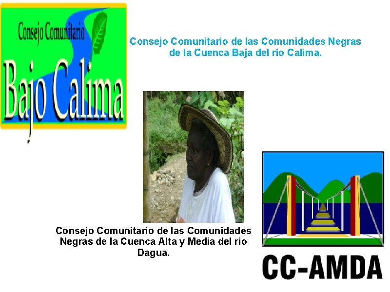 PROCESO ORGANIZATIVO DE LOS GRUPOS ETNICOS EN COLOMBIA