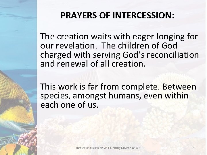 Sustainable September 2016 Blessing of the Animals Service