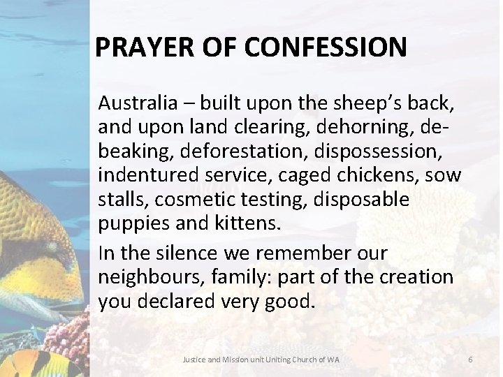 Sustainable September 2016 Blessing of the Animals Service