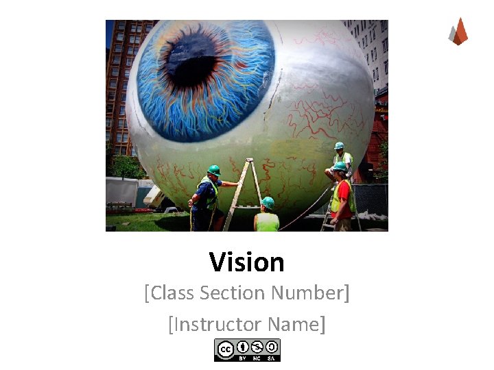 Vision Class Section Number Instructor Name Overview What