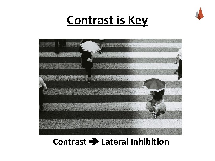 Vision Class Section Number Instructor Name Overview What