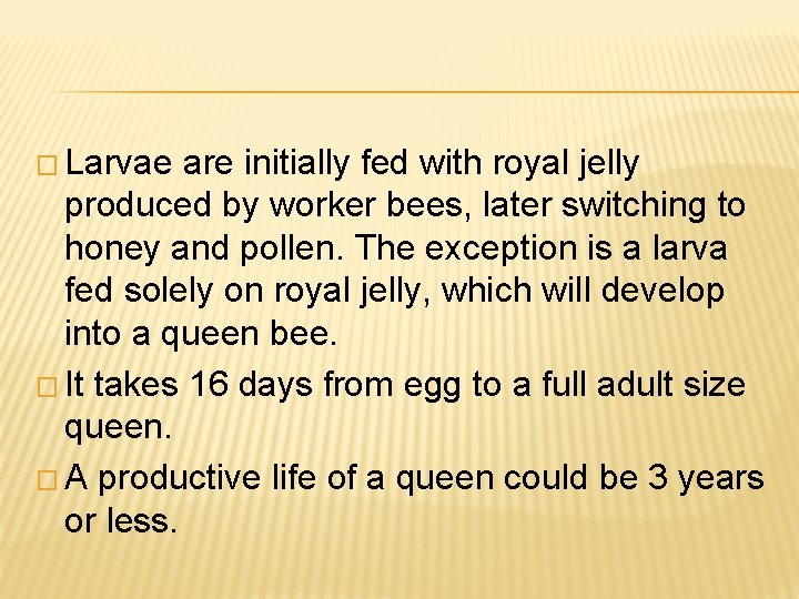 MODERN BEE KEEPING ORIGIN OF THE HONEY BEES