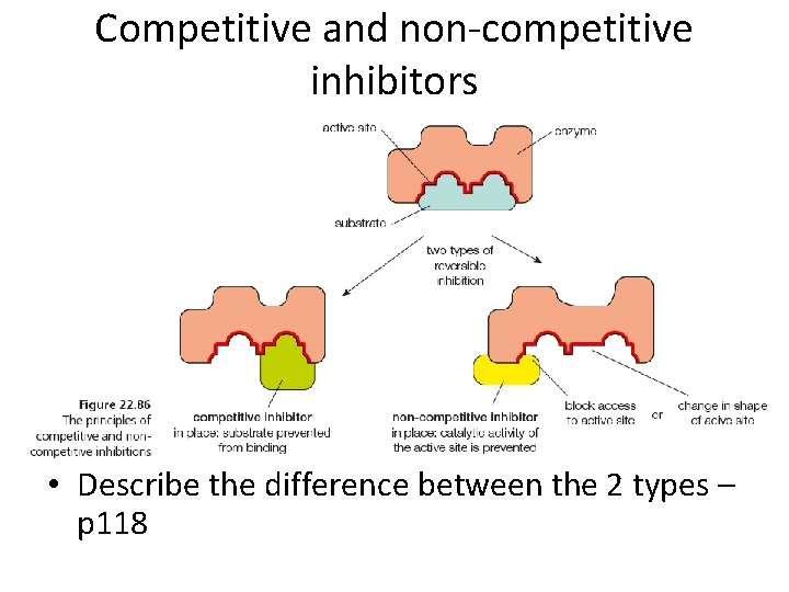 What are enzymes Every cell requires hundreds of