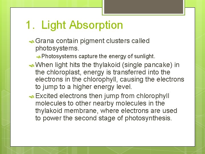 Photosynthesis Light Reactions and the Calvin Cycle Photosynthesis