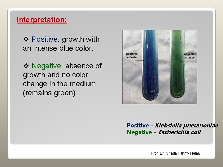 Prof Dr Ghada Fahmy Helaly Biochemical Reactions General