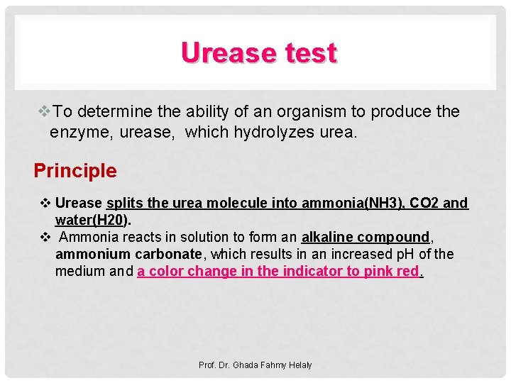 Prof Dr Ghada Fahmy Helaly Biochemical Reactions General