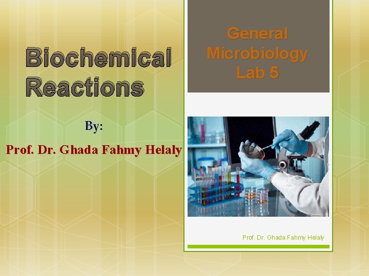 Prof Dr Ghada Fahmy Helaly Biochemical Reactions General
