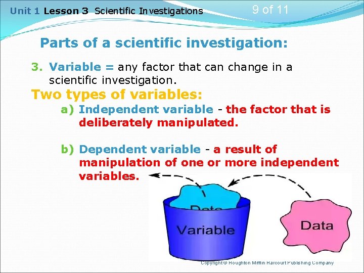 Unit 1 Lesson 3 Scientific Investigations Copyright Houghton