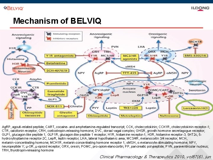 Mechanism of BELVIQ Selectively 5 HT 2 C