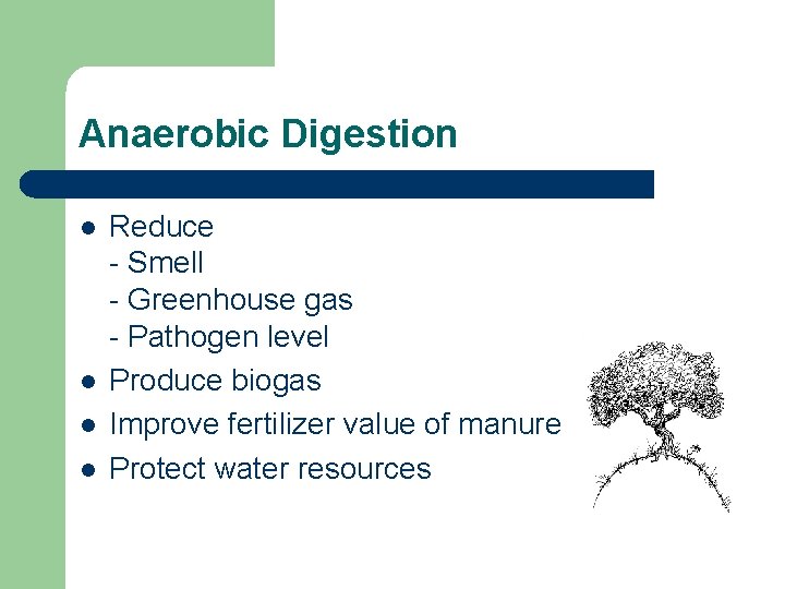 Biogas Production Using Small Scale Biodigester By Shunpei