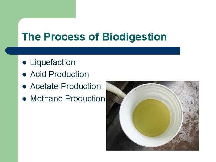 Biogas Production Using Small Scale Biodigester By Shunpei