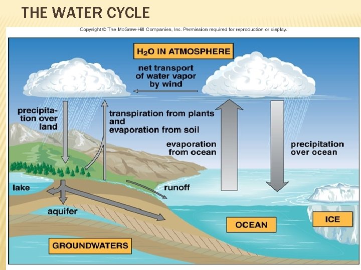 CARBON WATER AND NITROGEN CYCLES These elements are