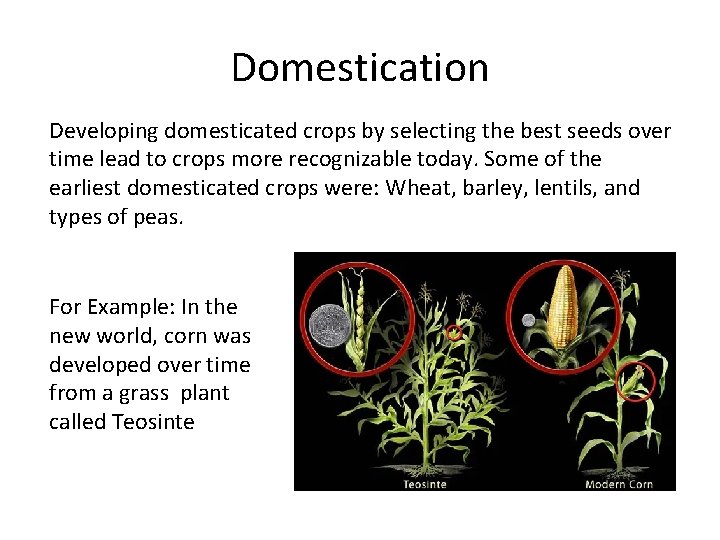 Plant Propagation A Very Brief History Plant Propagation